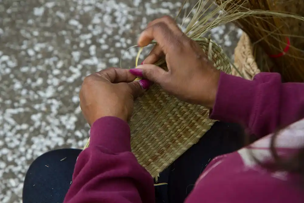 Sweetgrass Baskets of the Lowcountry | Charleston.com