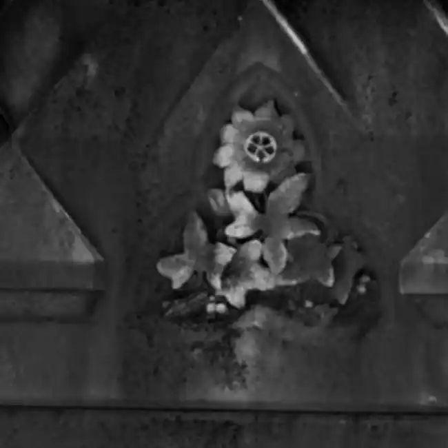 Exploring the Charms and Lore of Magnolia Cemetery | Charleston.com