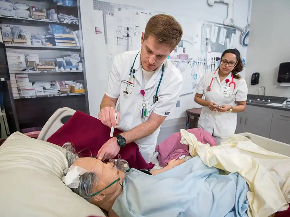 Trident Technical College | Charleston.com