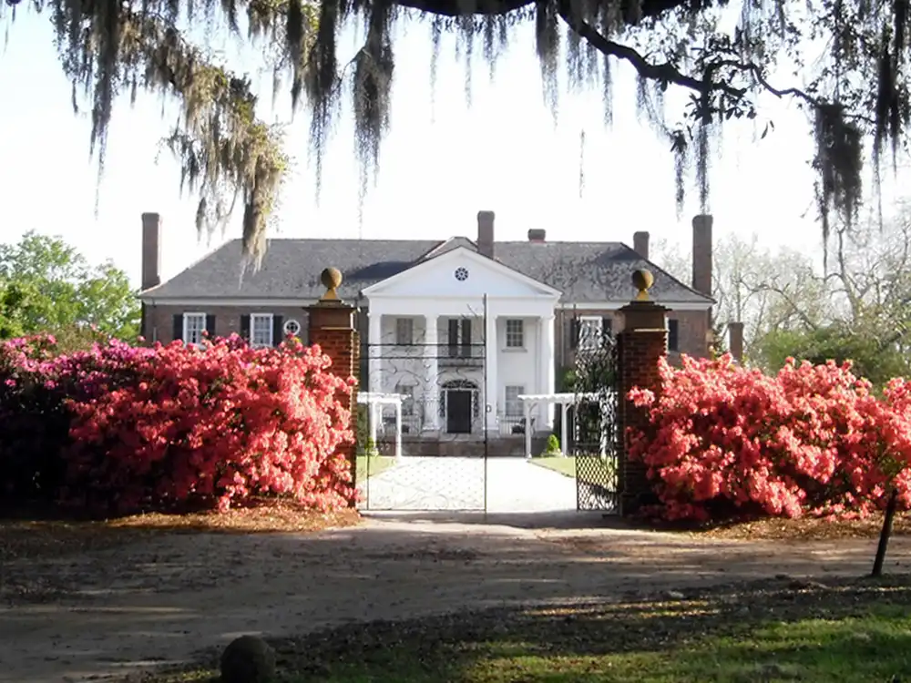 Boone Hall Plantation | Things To Do In Charleston