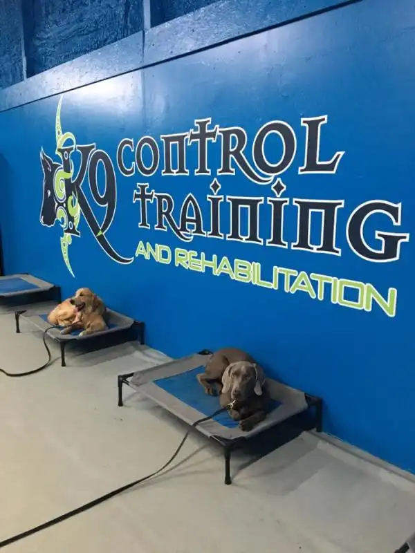K9 Control Training | Charleston.com