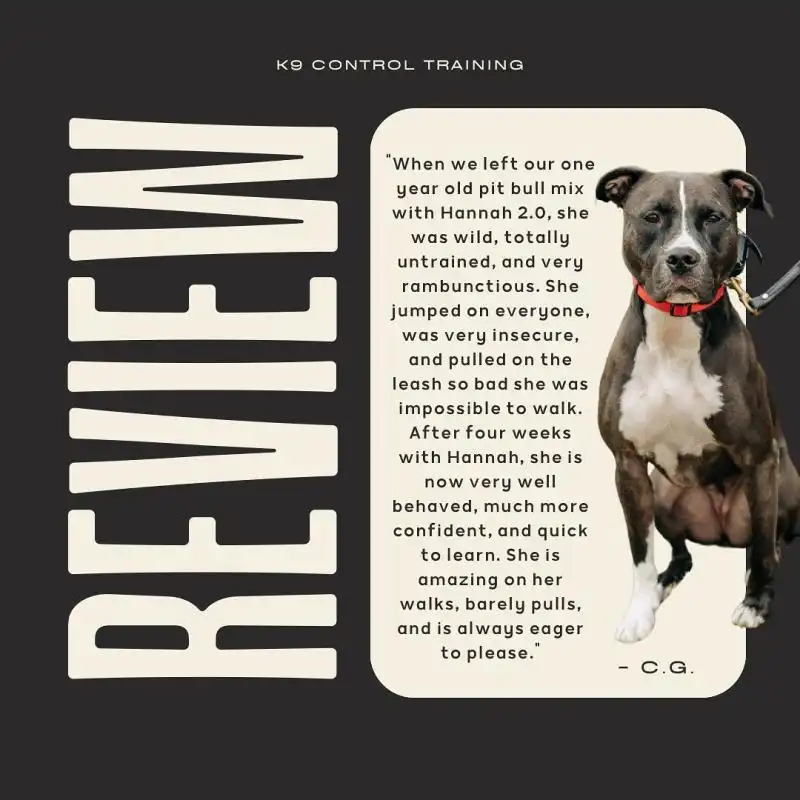 K9 Control Training | Charleston.com