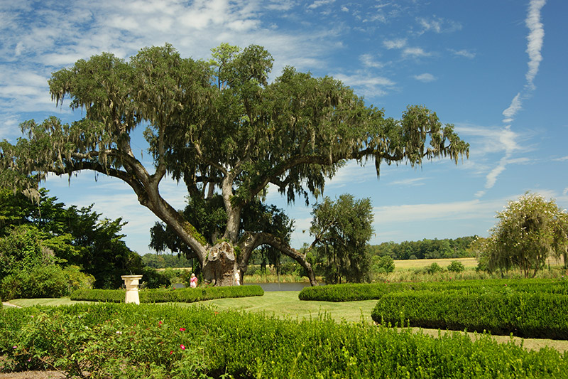 Middleton Place | Charleston.com
