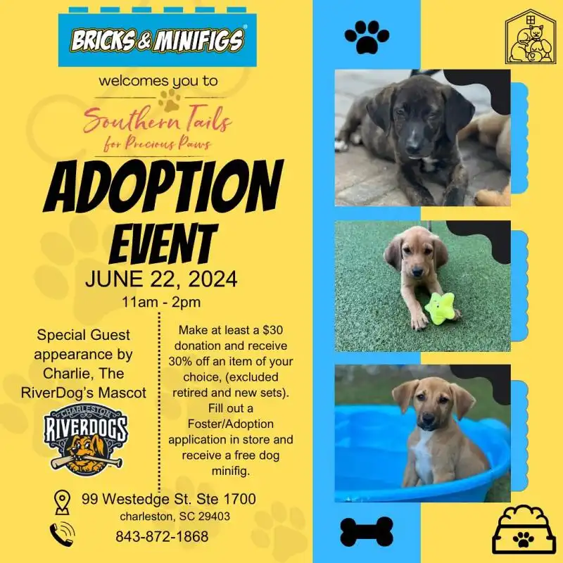 Bricks and Minifigs Adoption Event | Charleston.com